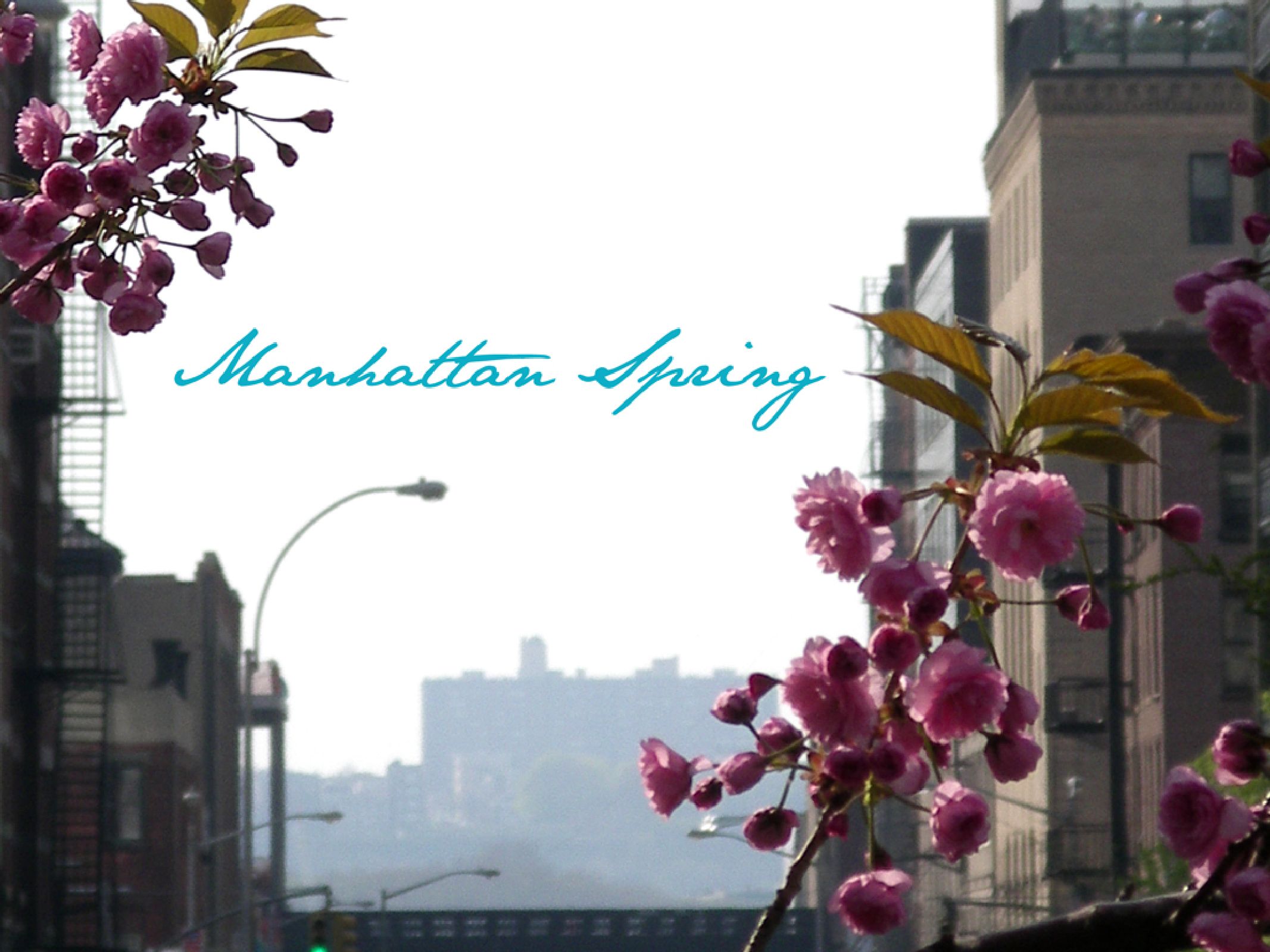 Manhattan Spring by The OG - Issuu