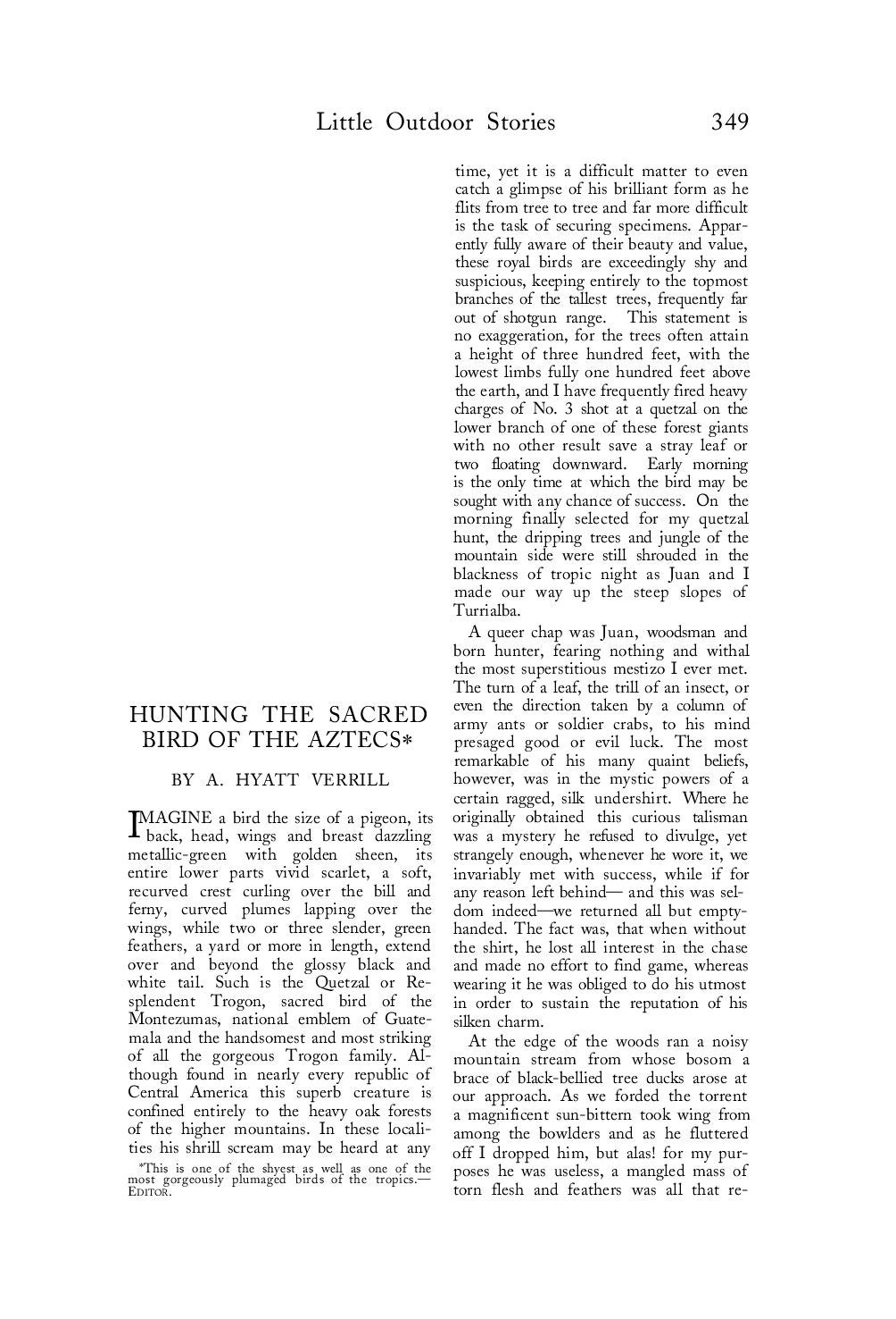 Hunting the Sacred Bird of the Aztecs by Doug Frizzle - Issuu