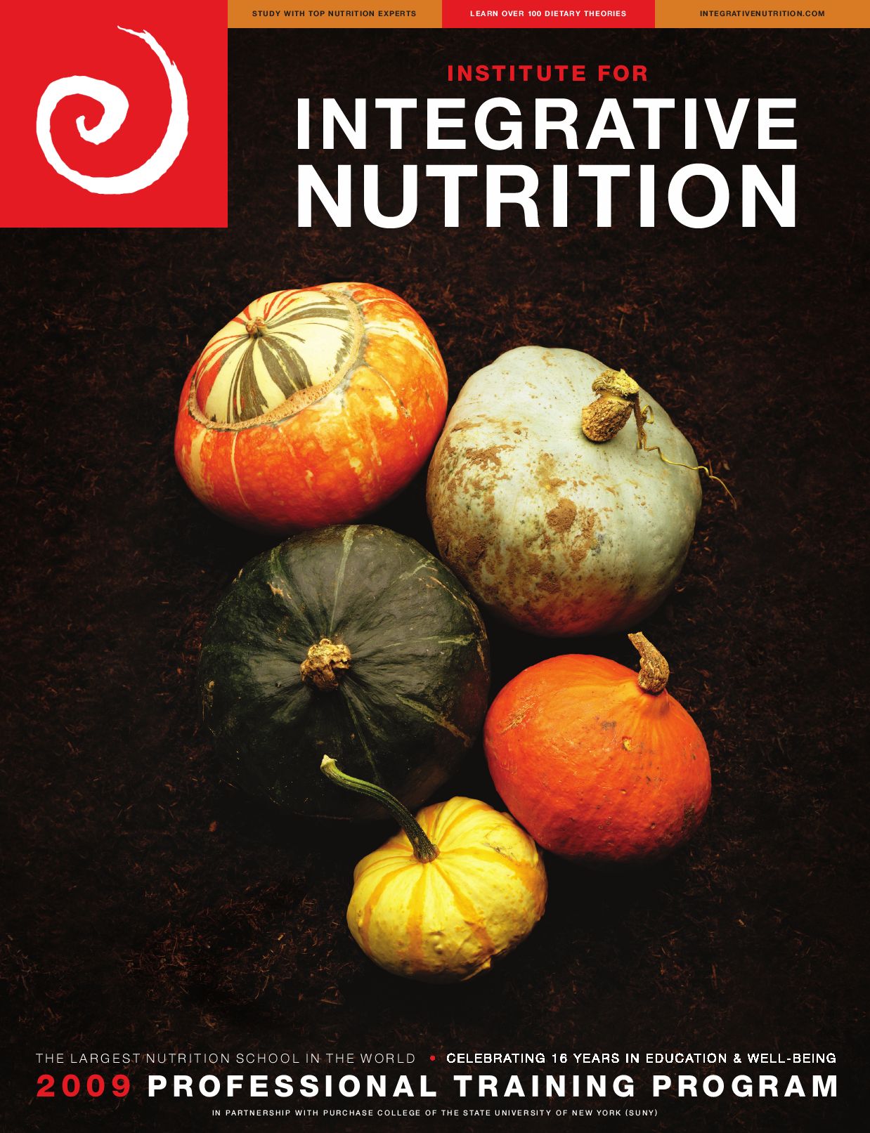 Institute for Integrative Nutrition 2009 by Chronogram - Issuu
