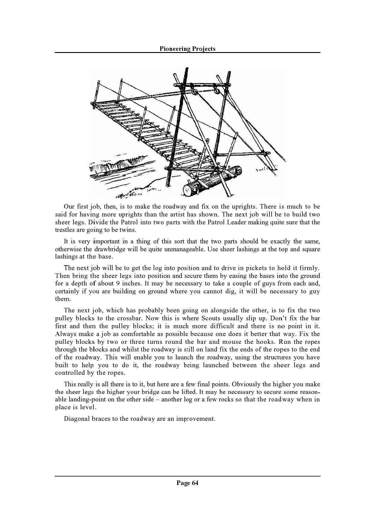 Pioneering Projects by Scouting Ireland - Issuu