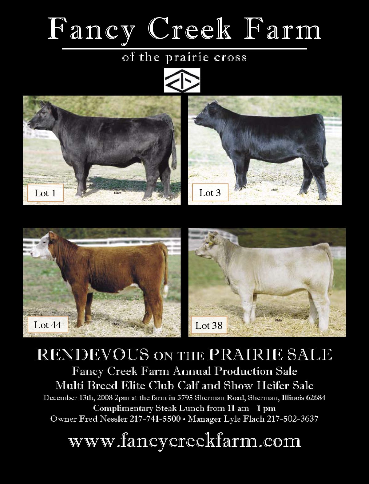 fancy creek farms by Dwyer Cattle Services - Issuu