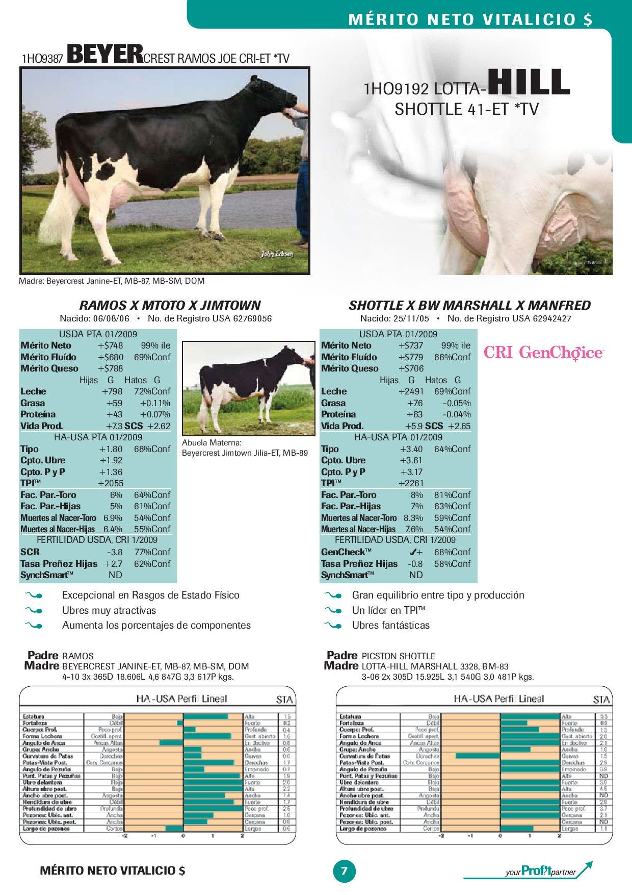 Catalogo Holstein by GENEX - Issuu