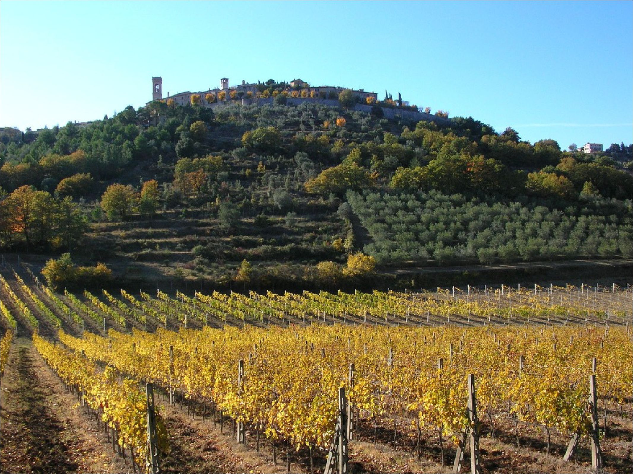 Light from the Shadow by Angelo Vasta - Issuu