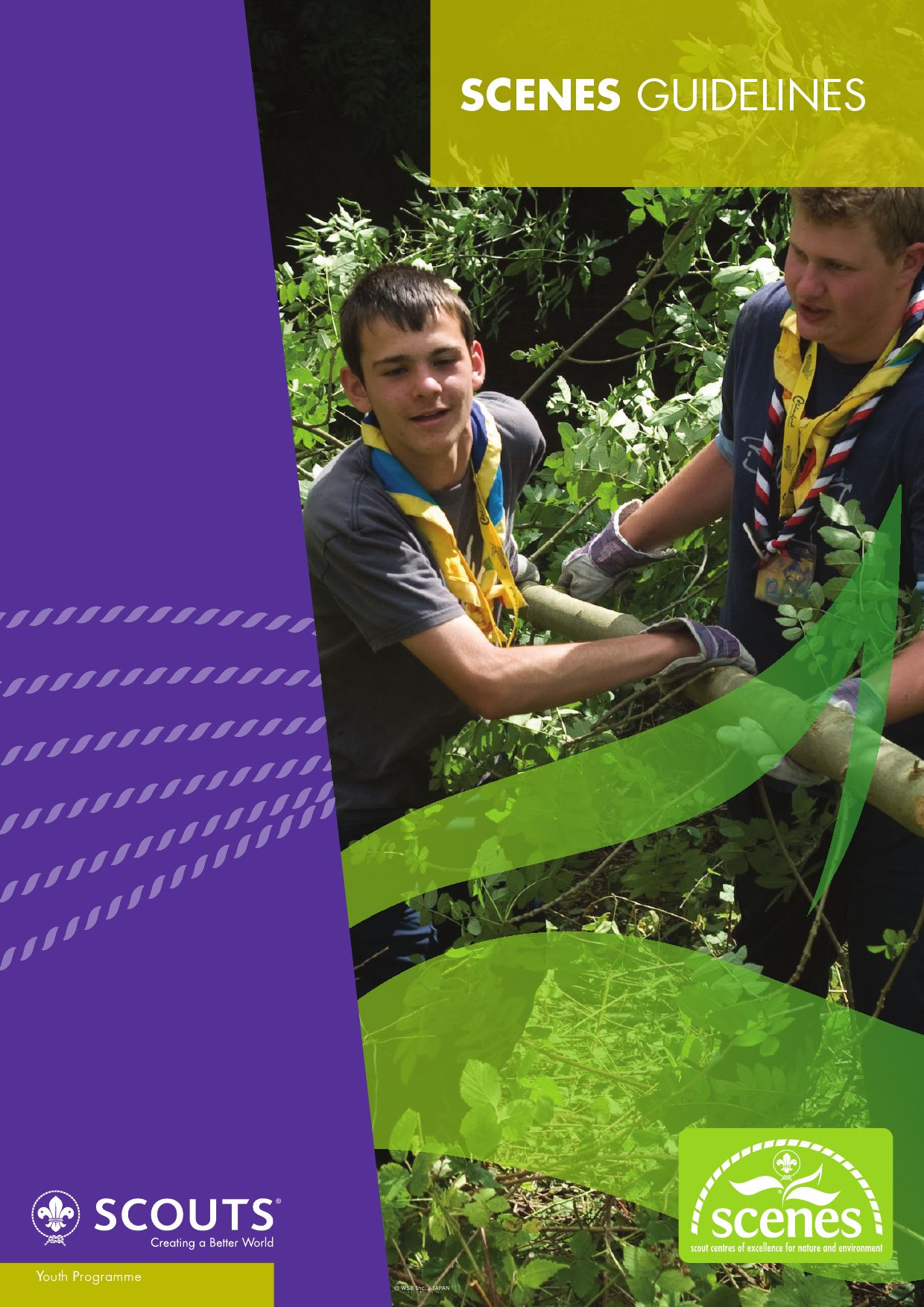 SCENES Guidelines by World Organization of the Scout Movement - Issuu