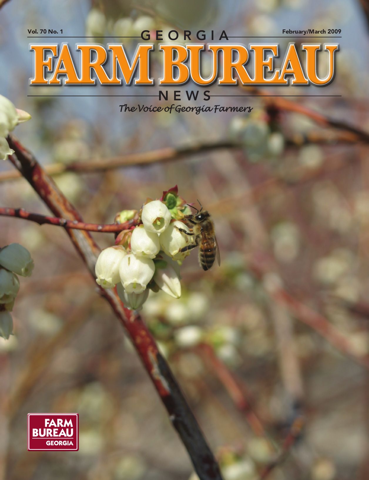 Georgia Farm Bureau News - February / March 2009 by Georgia Farm Bureau ...