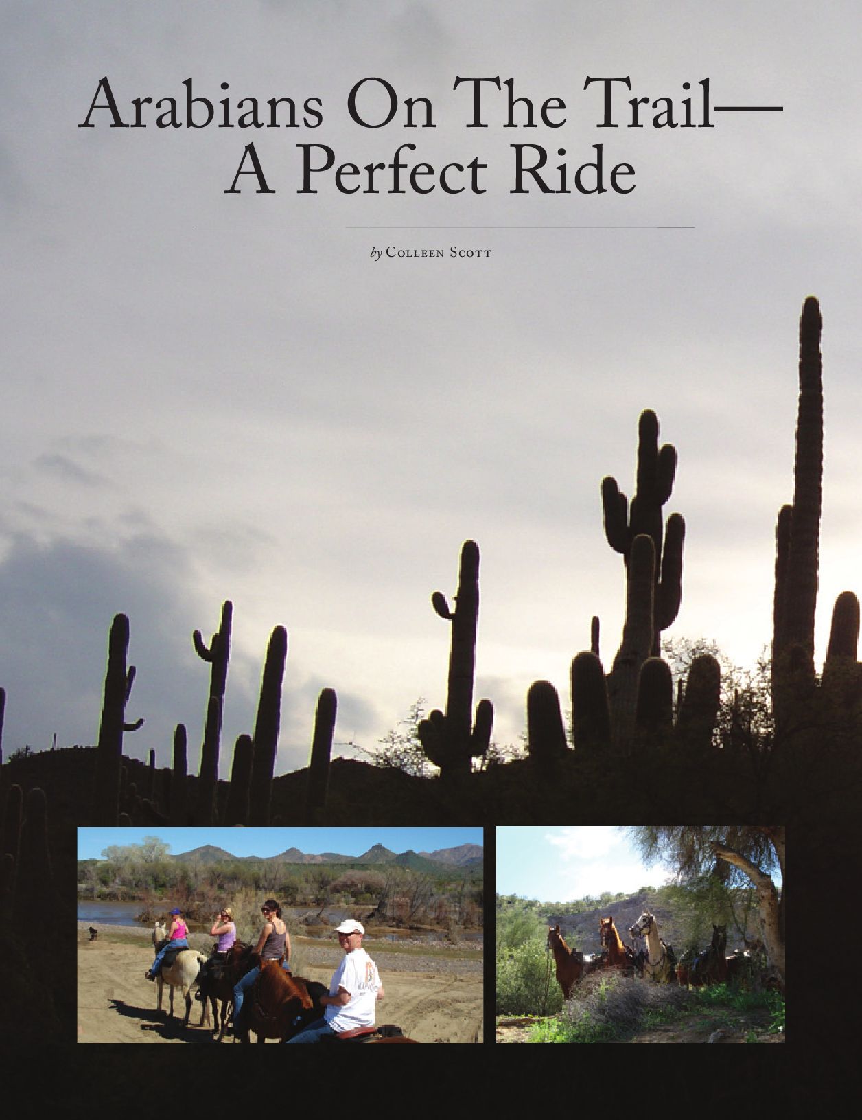 Arabians On The Trail by Arabian Horse Times - Issuu