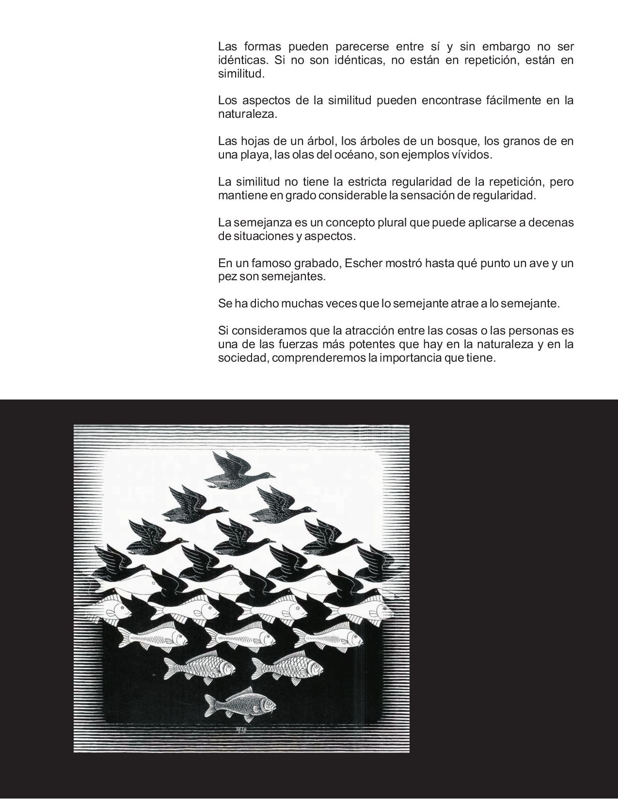 La Similitud by Juan Carlos Godoy - Issuu