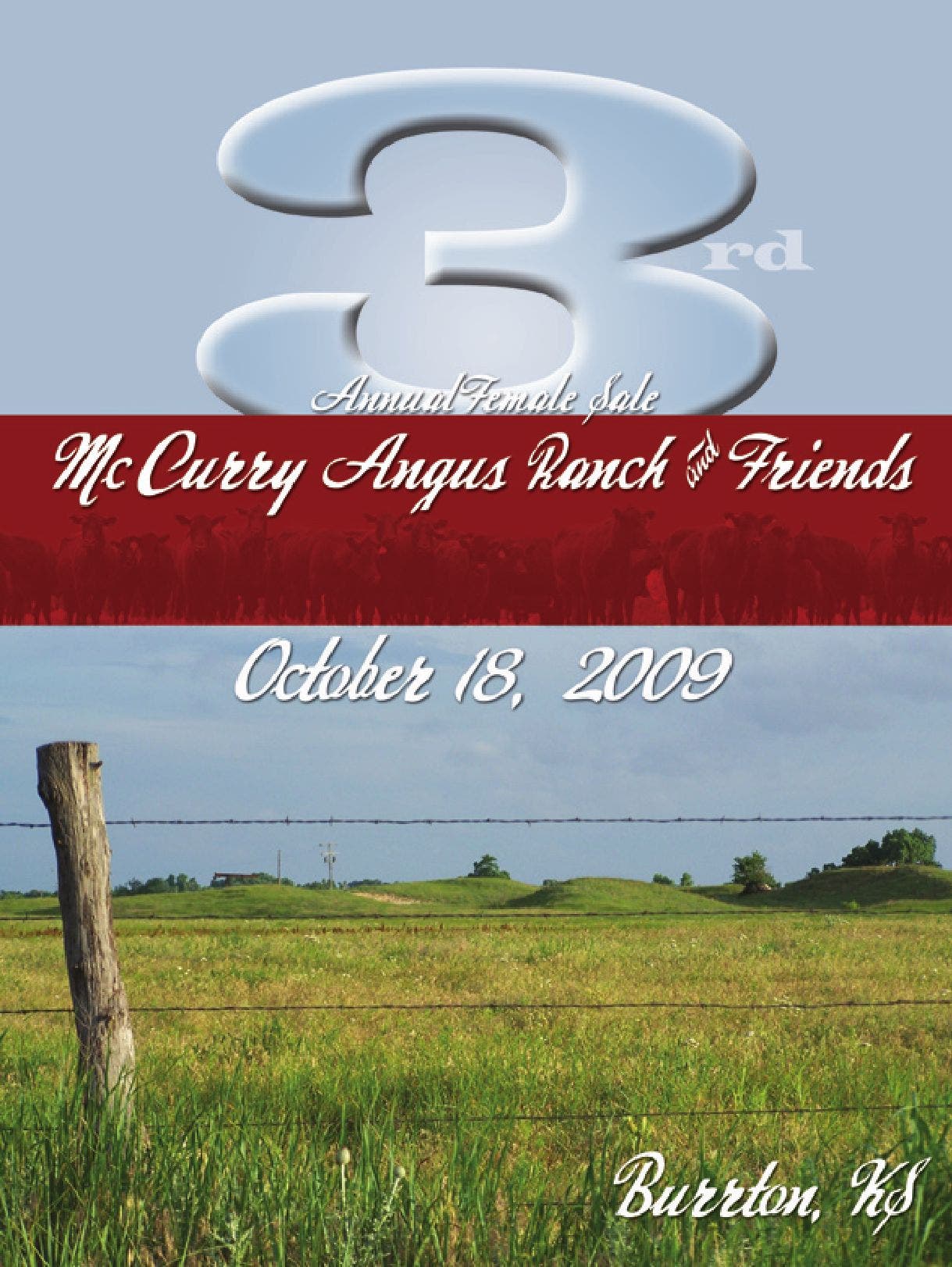 McCurry Angus Sale by Tracy McMurphy - Issuu
