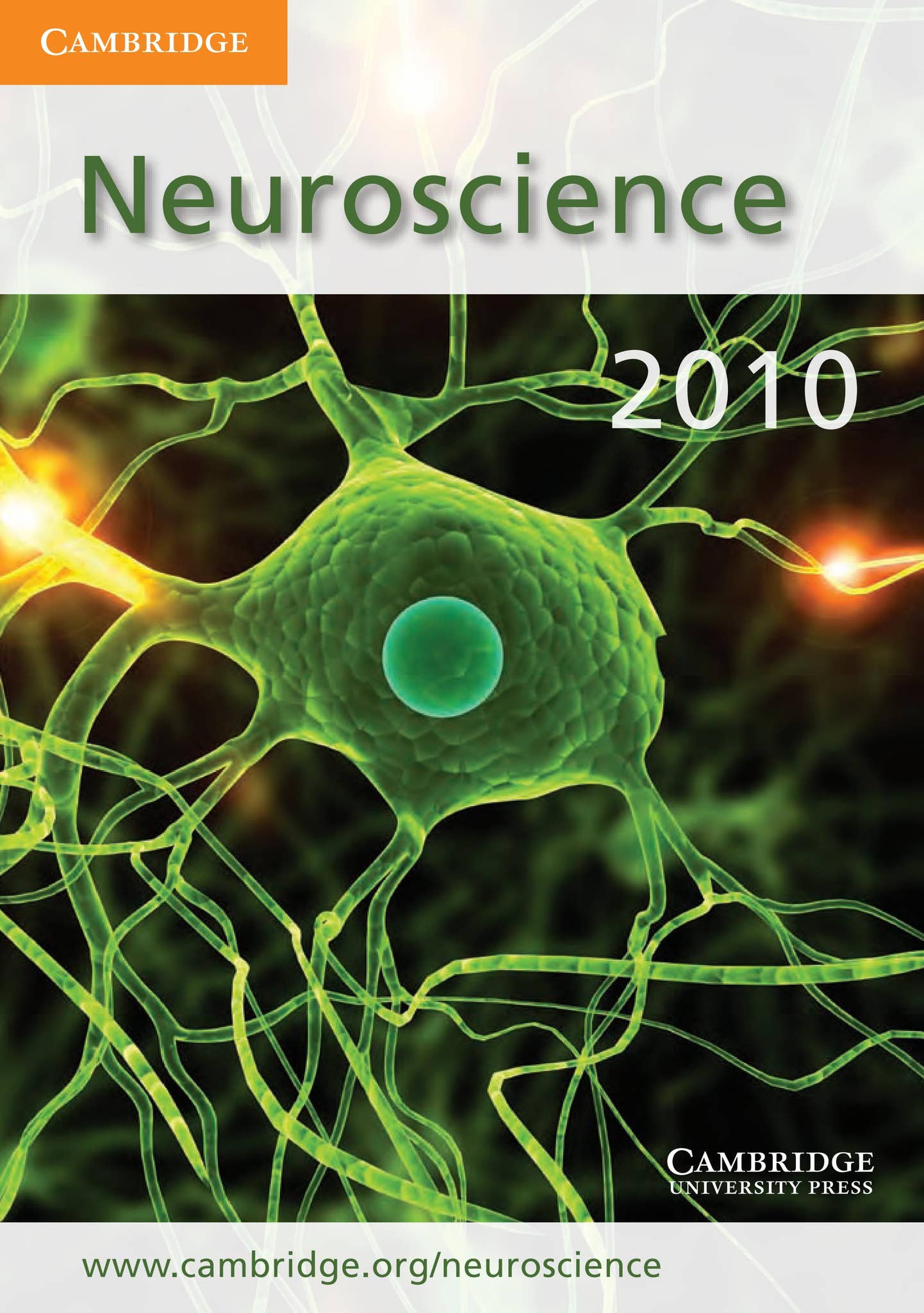 Cambridge Neuroscience 2010 by Cambridge University Press - Issuu