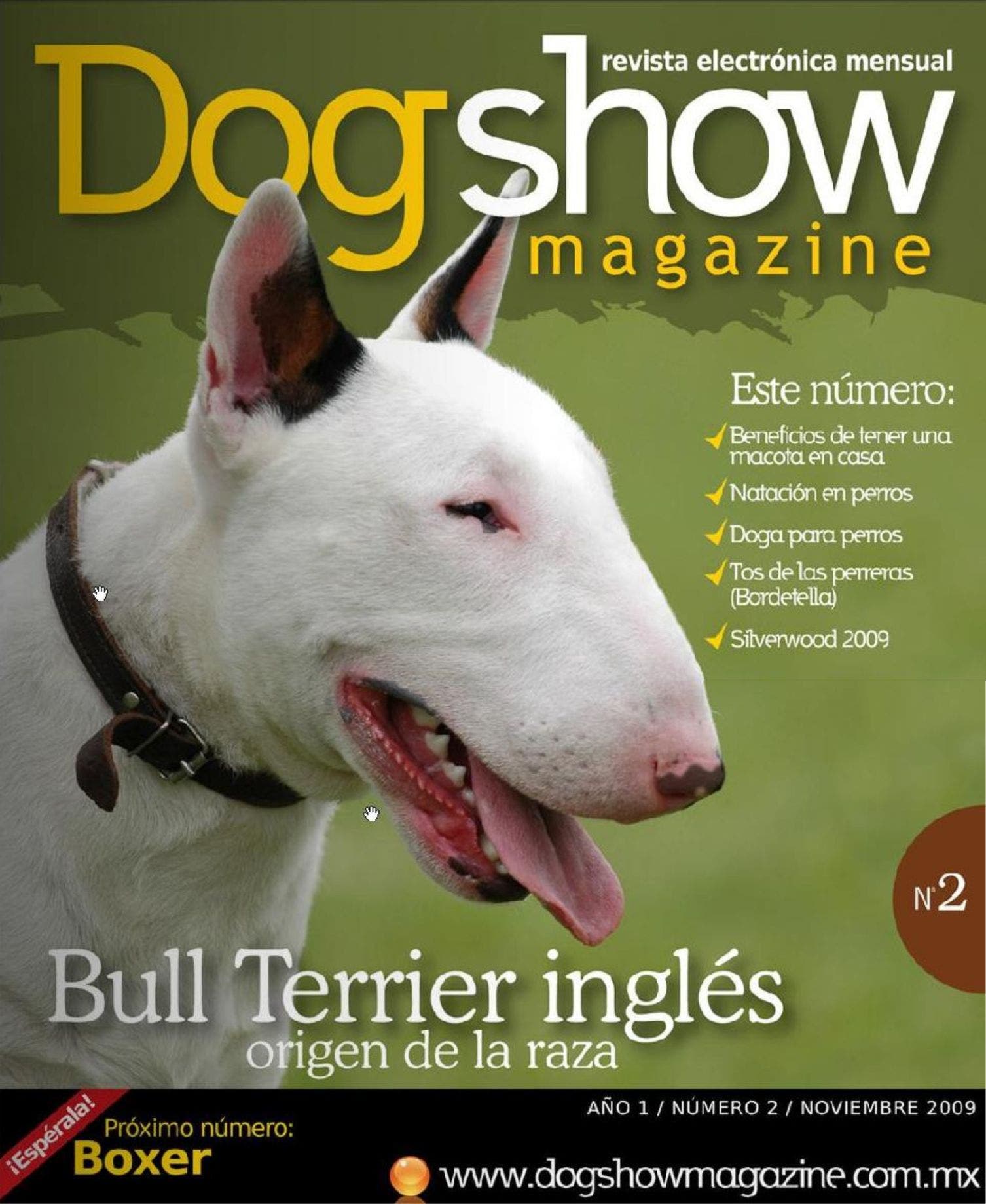 DOGSHOW MAGAZINE by Bull Terrier - Issuu