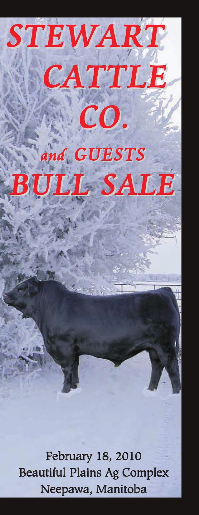 Stewart Cattle Co. & Guests Bull Sale 2010 by Everything Angus - Issuu
