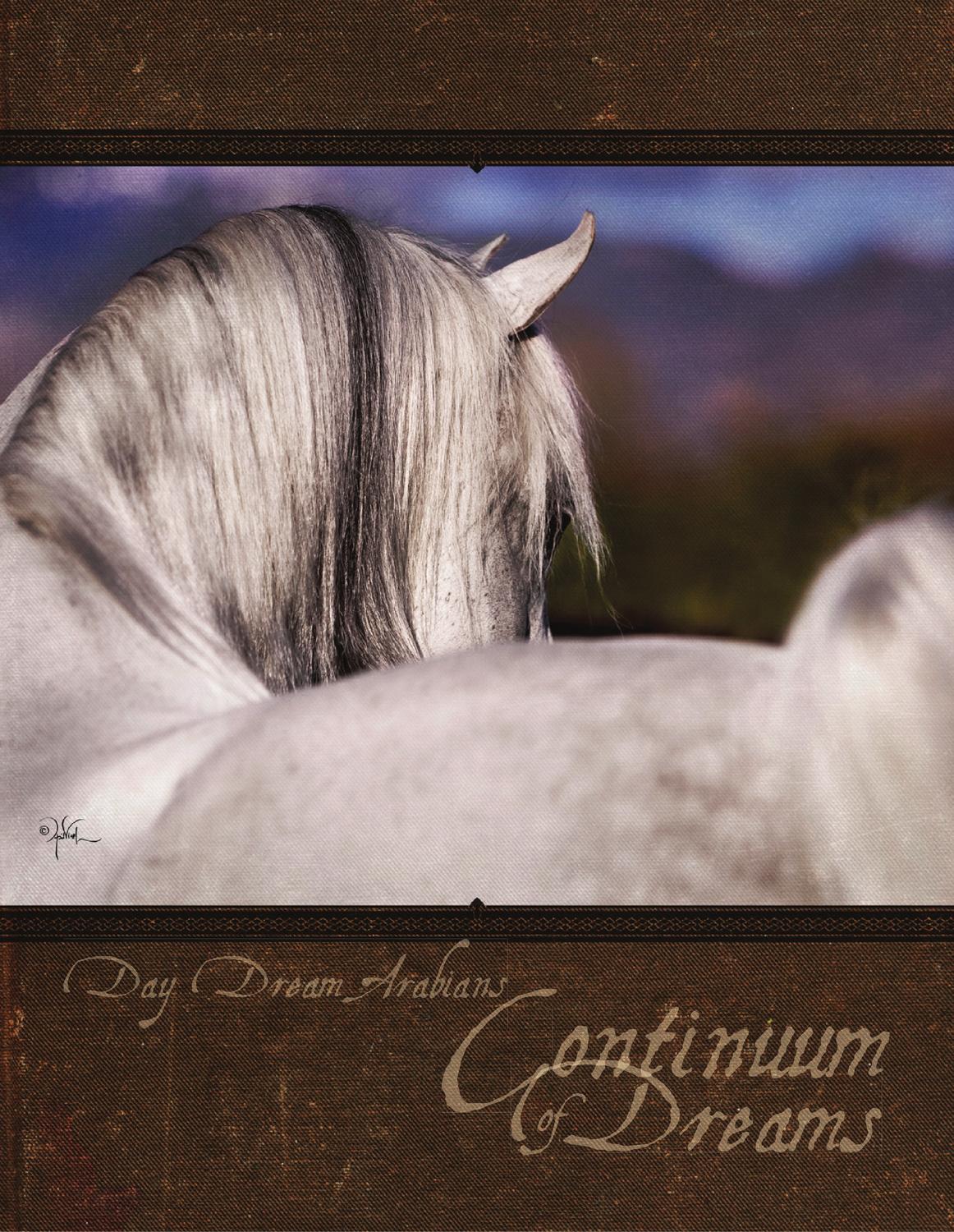 Day Dream Arabians — Continuum of Dreams by Arabian Horse World - Issuu