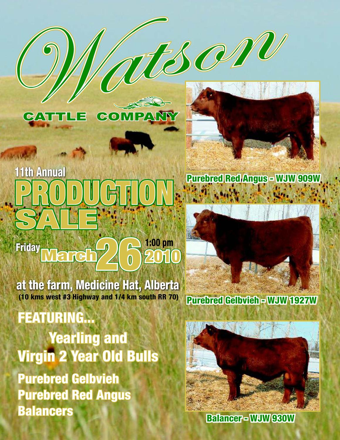 Watson Cattle Company 11th Annual Production Sale 2010 by Everything ...
