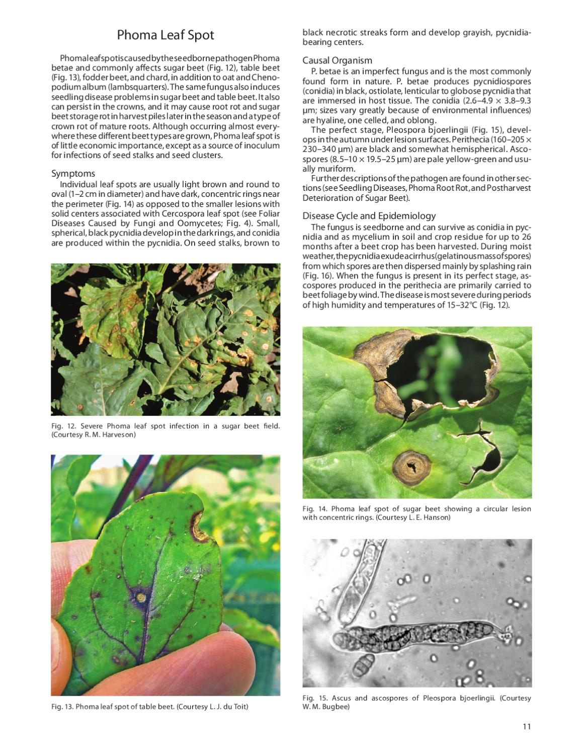 Compendium of Beet Diseases and Pests, Second Edition by Scientific ...