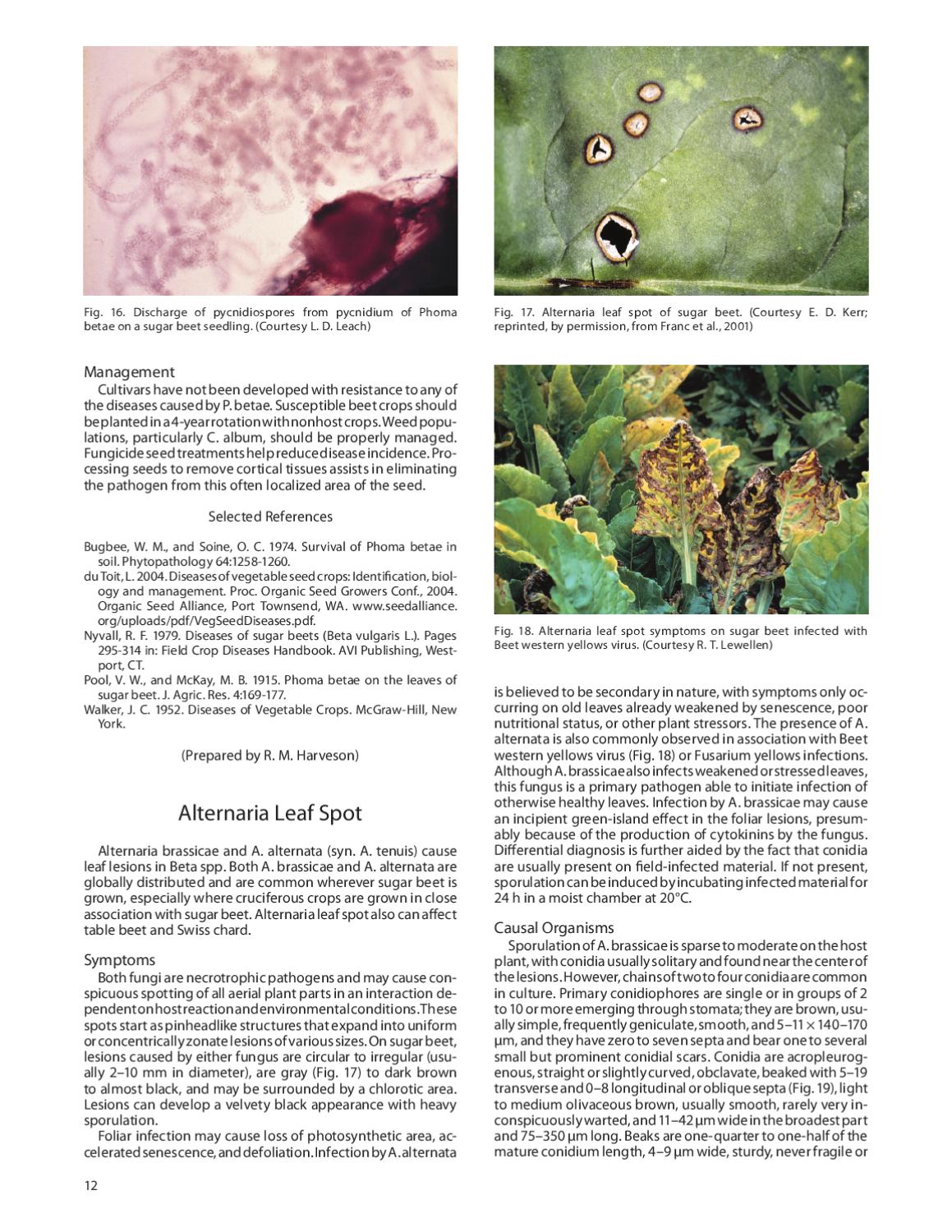 Compendium of Beet Diseases and Pests, Second Edition by Scientific ...