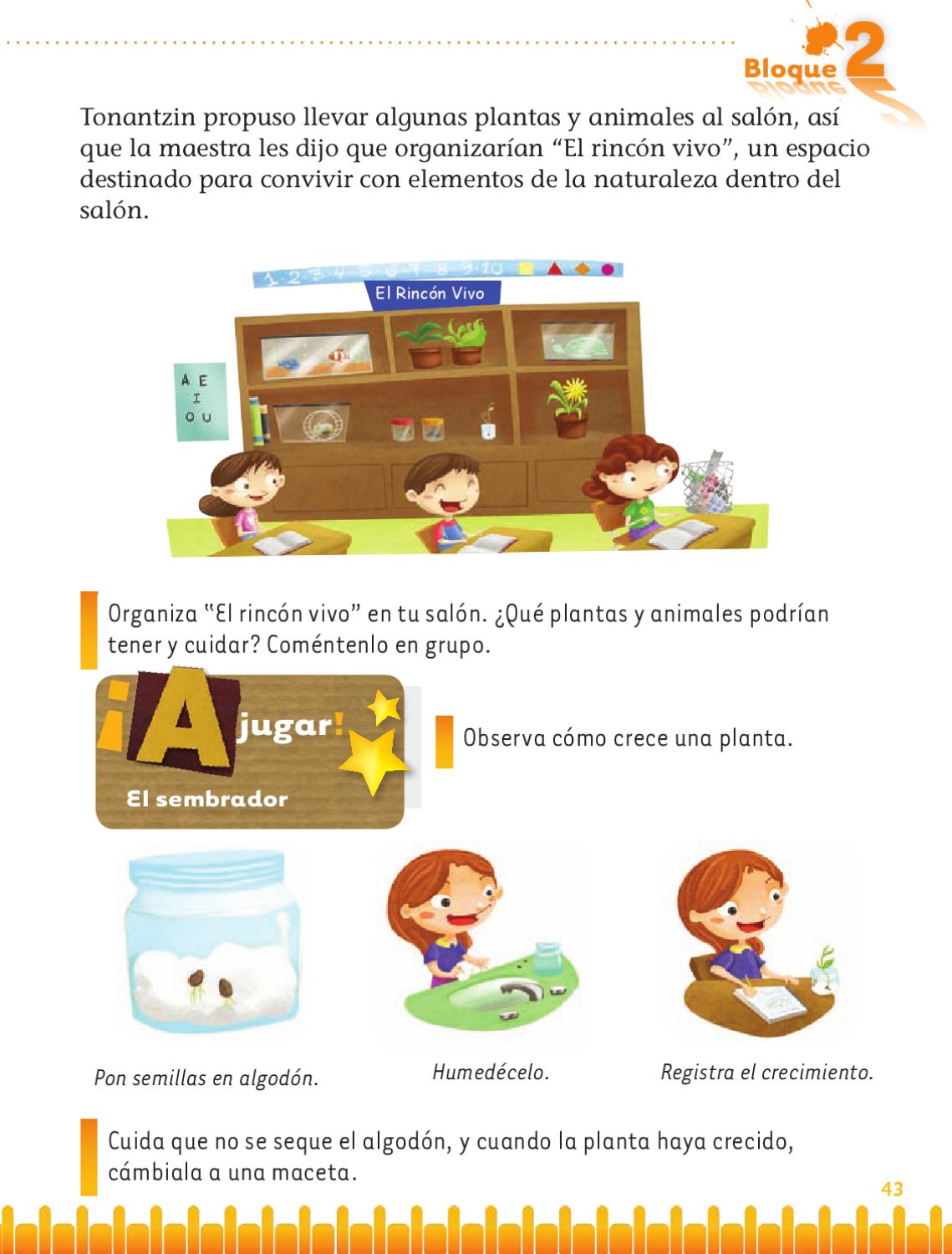 Exploración de la Naturaleza y la Sociedad 1er. Grado by Rarámuri - Issuu