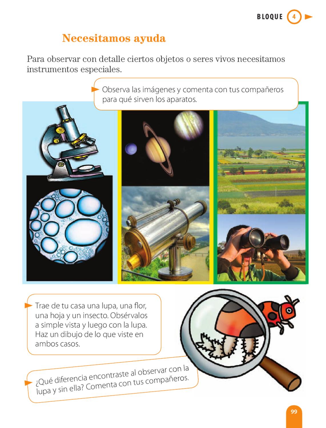 Exploración de la Naturaleza y la Sociedad 1er. Grado by Rarámuri - Issuu