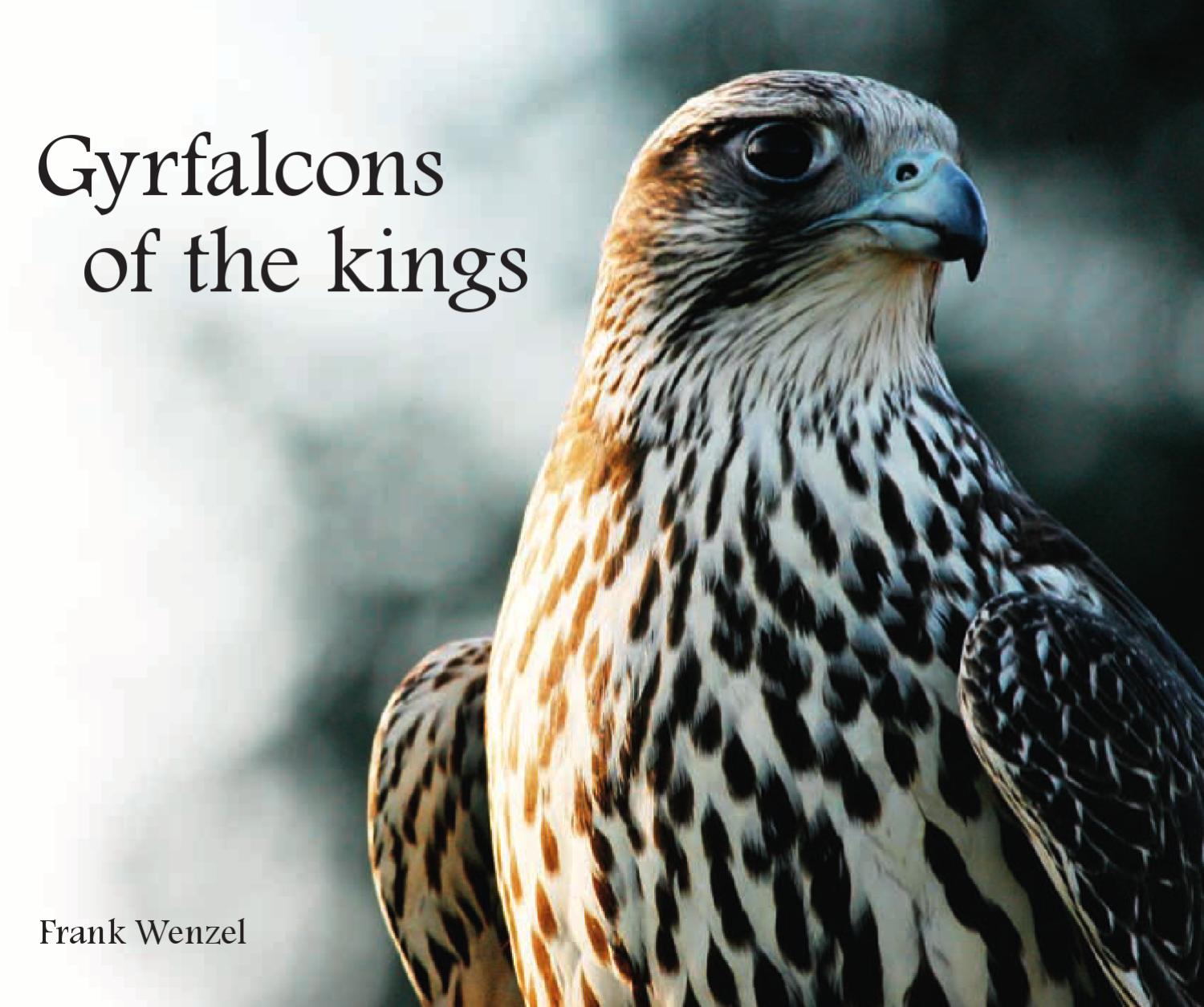 Gyrfalcons of the kings by Eagleworld.dk - Issuu