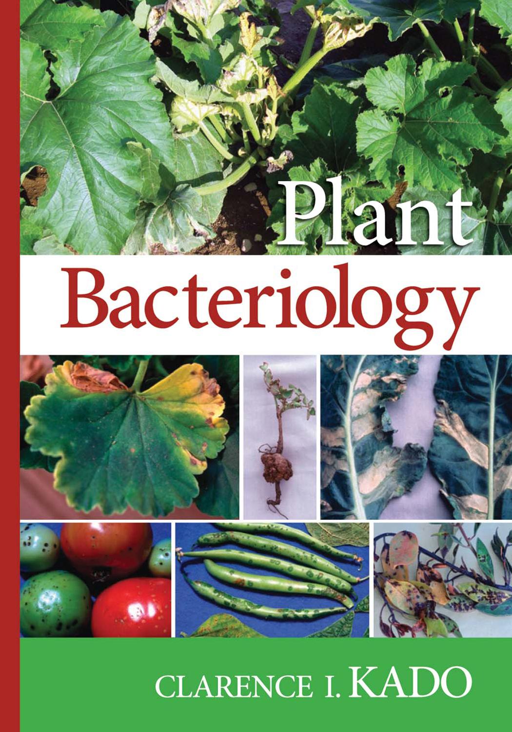 Plant Bacteriology by Scientific Societies - Issuu