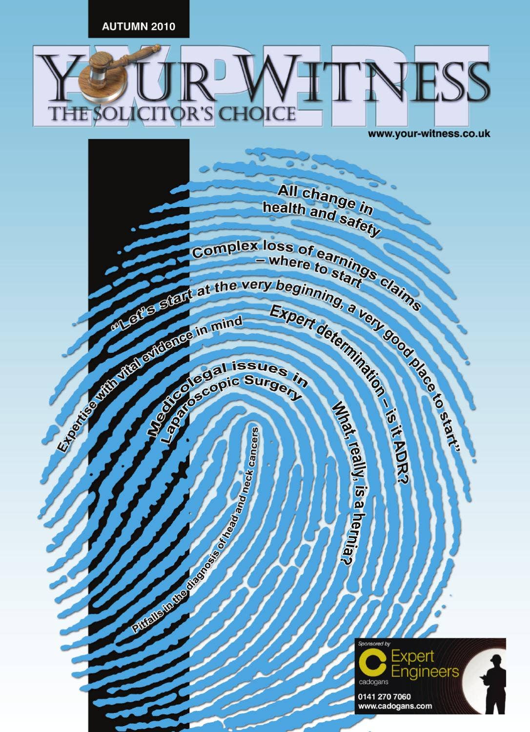 Your Expert Witness by DMMonline - Issuu