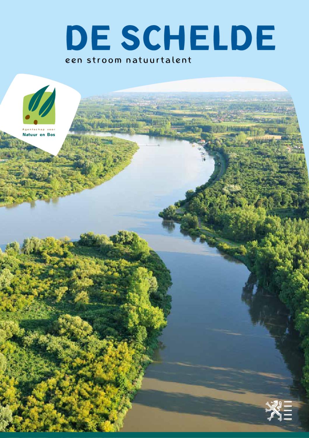 De Schelde een stroom natuurtalent by Agentschap voor Natuur en Bos - Issuu