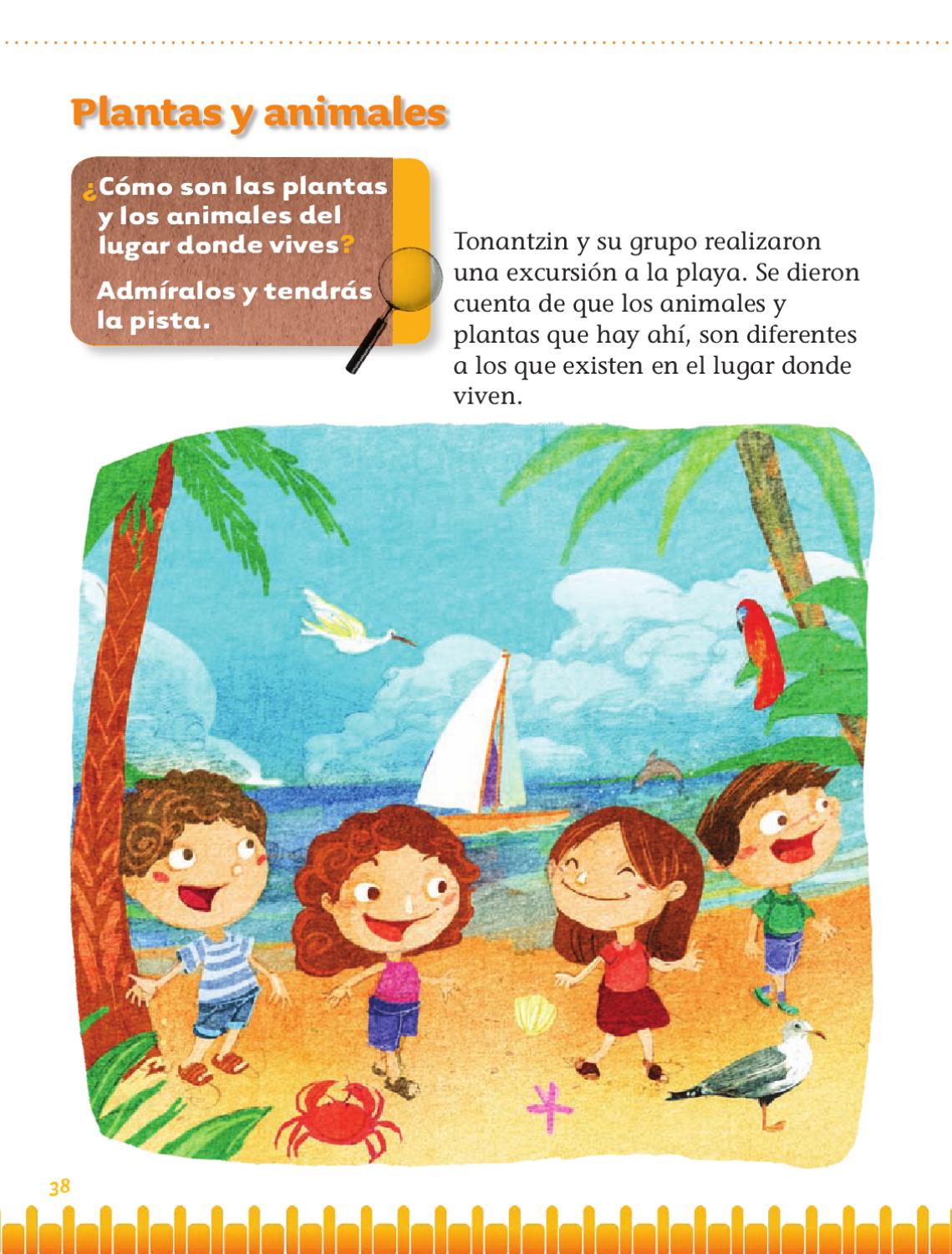 Exploración de la Naturaleza y la Sociedad 1er. Grado by Rarámuri - Issuu