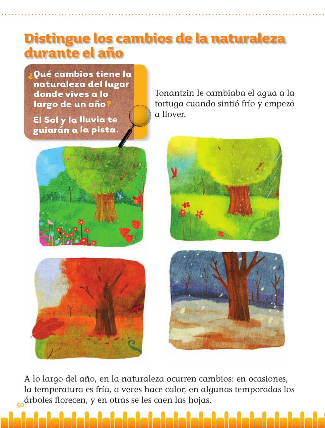 Exploración de la Naturaleza y la Sociedad 1er. Grado by Rarámuri - Issuu