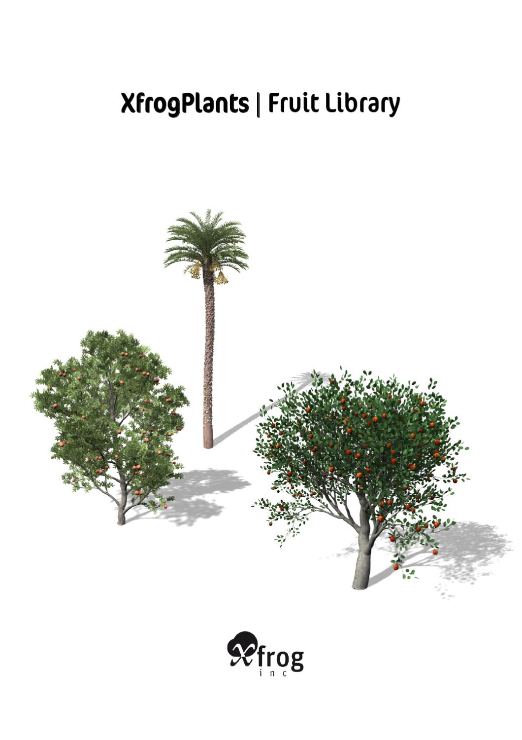 Fruit_XfrogPlants_DE by XFROG - Issuu