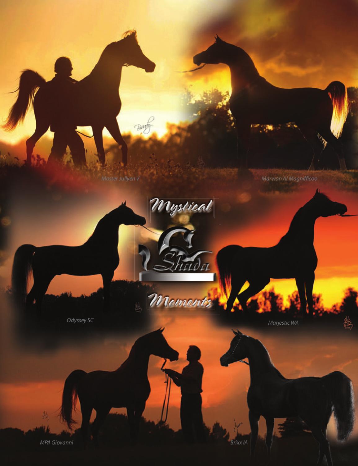 Shada - Mystical Moments by Arabian Horse Times - Issuu