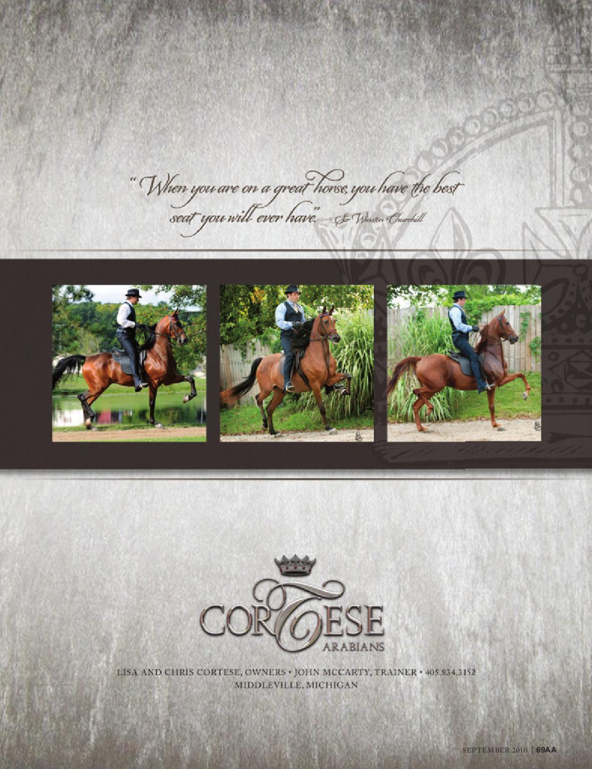 Cortese Arabians by Arabian Horse Times - Issuu