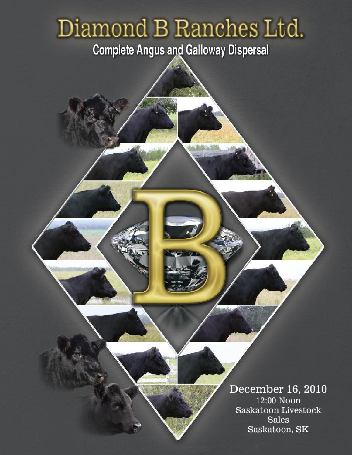 Diamond B Complete Dispersal by Today's Publishing Inc. - Issuu