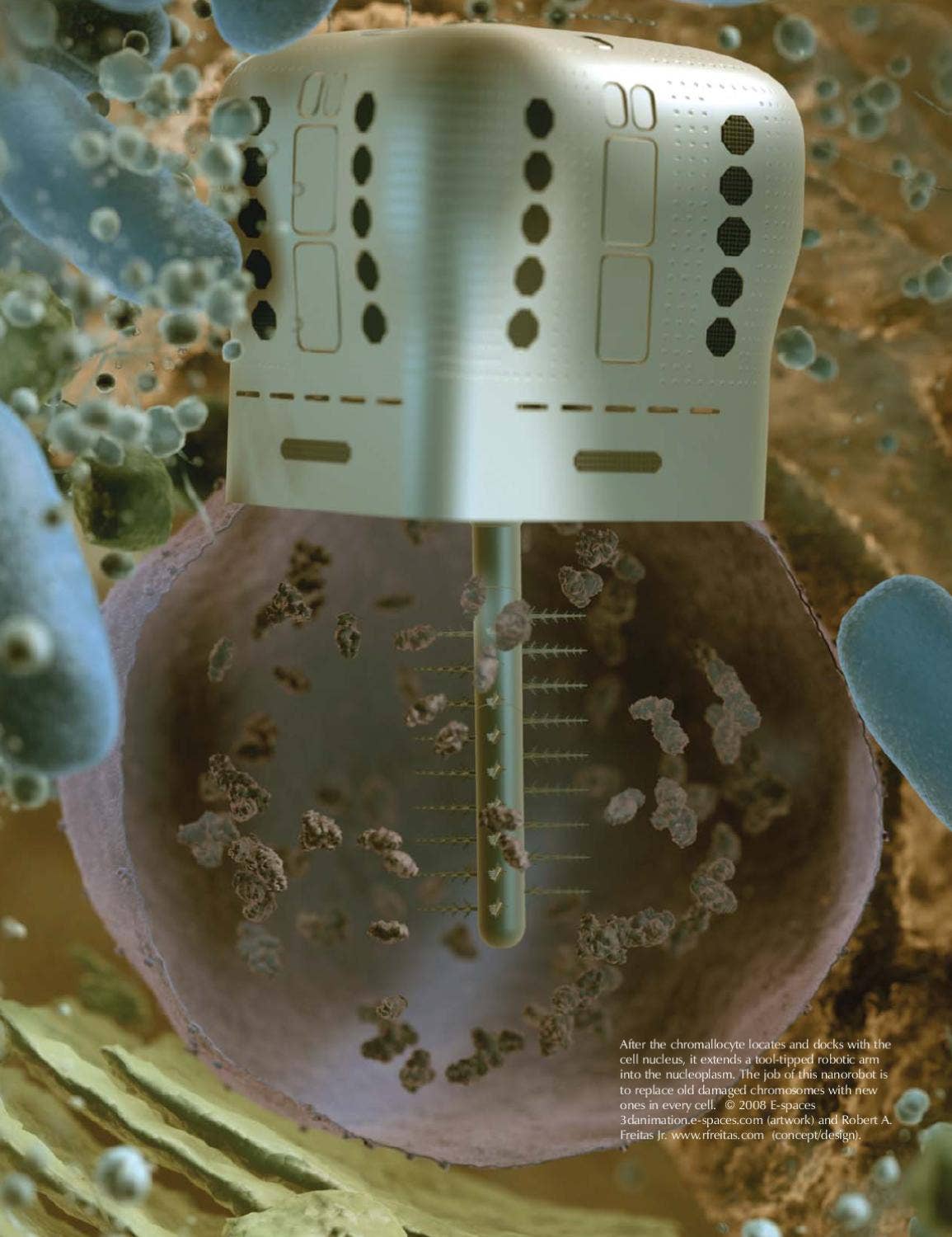 Cryonics Magazine 2008-4 by Alcor Life Extension Foundation - Issuu