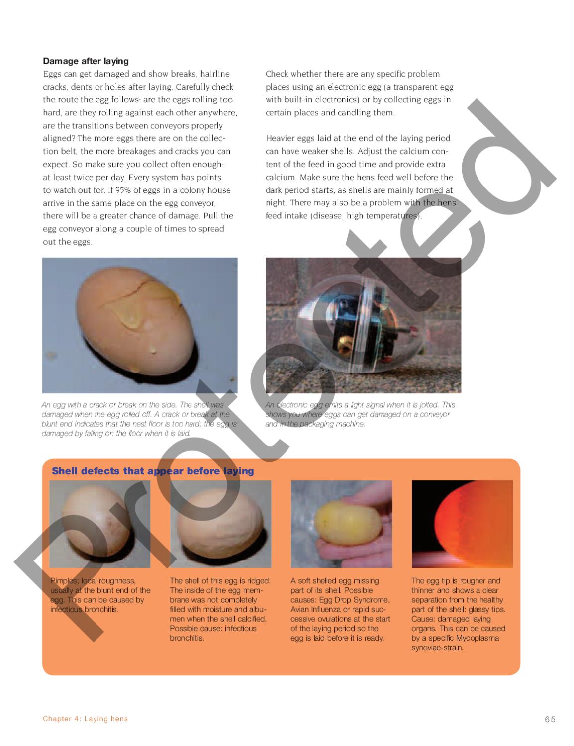 Poultry Signals by Roodbont Publishers - Issuu