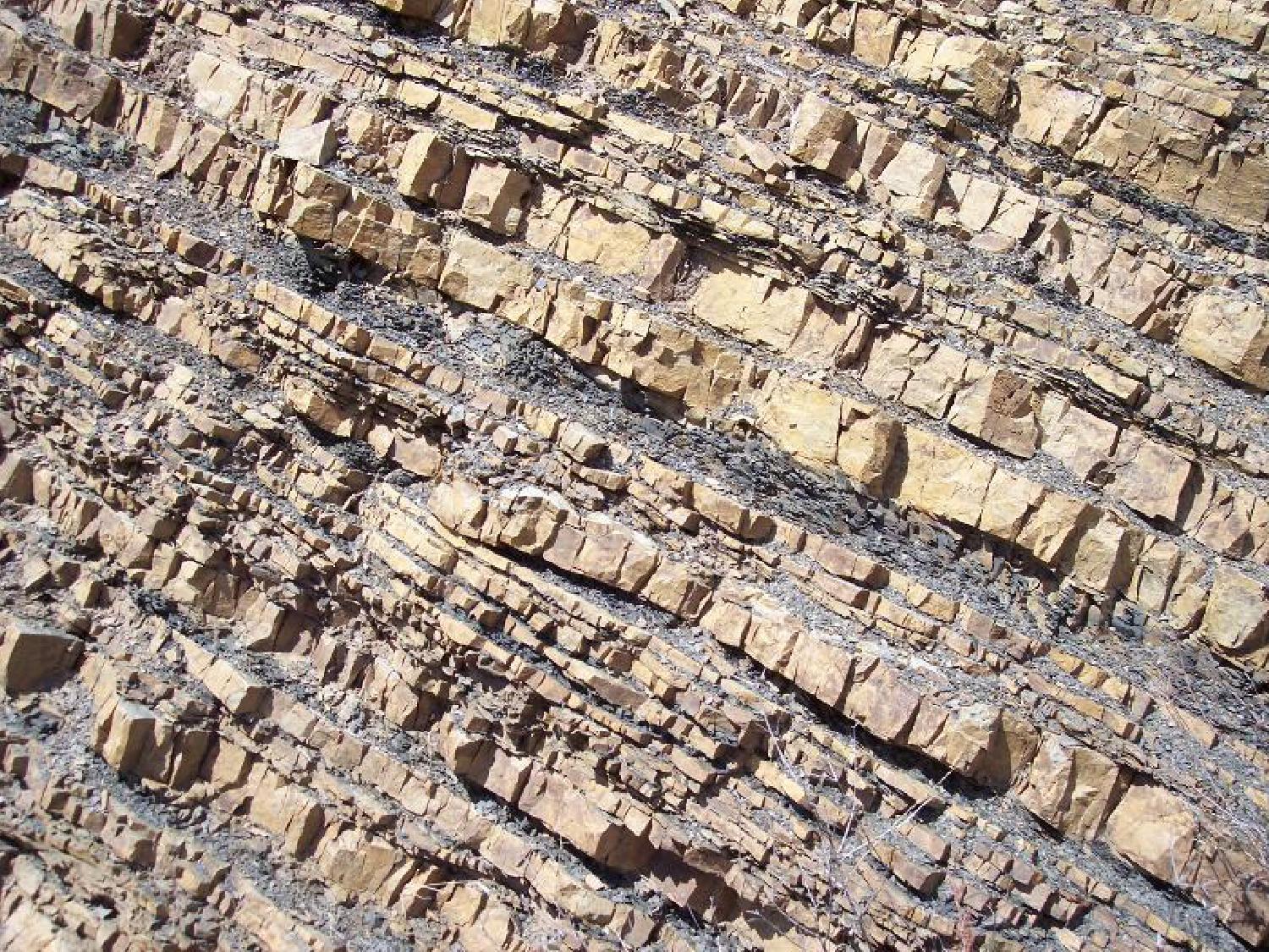 Estratos, o "livro" da história da Terra by José Ribeiro - Issuu