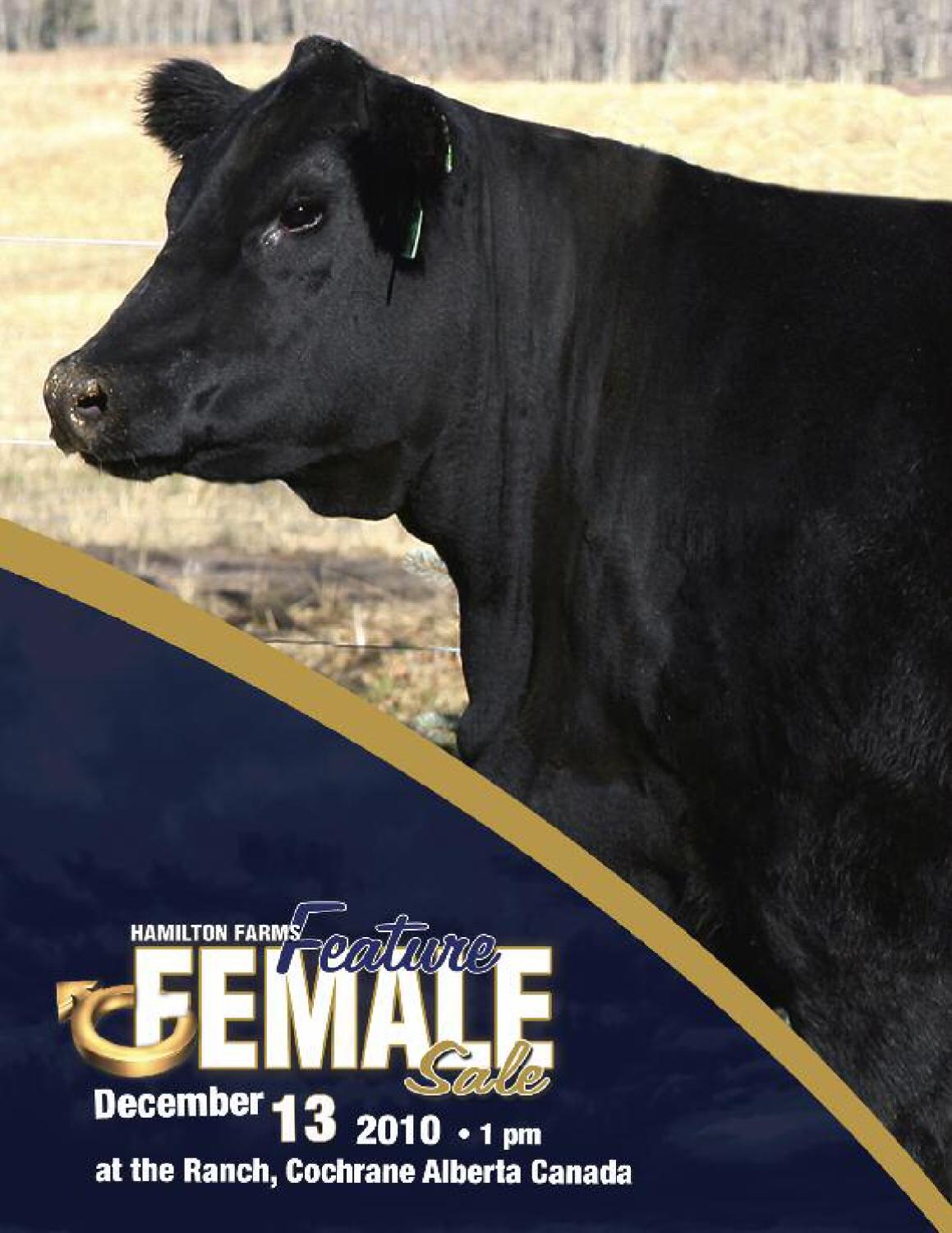 Hamilton Farms Feature Female Sale 2010 by Everything Angus - Issuu