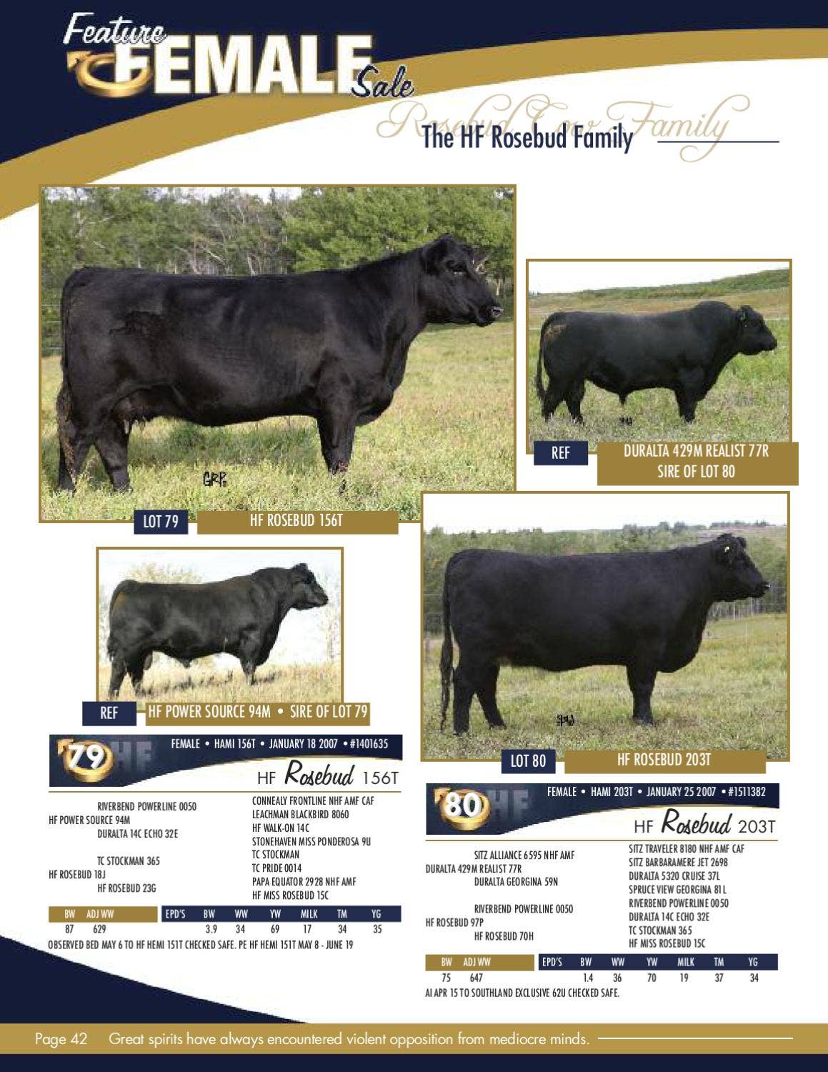 Hamilton Farms Feature Female Sale 2010 by Everything Angus - Issuu