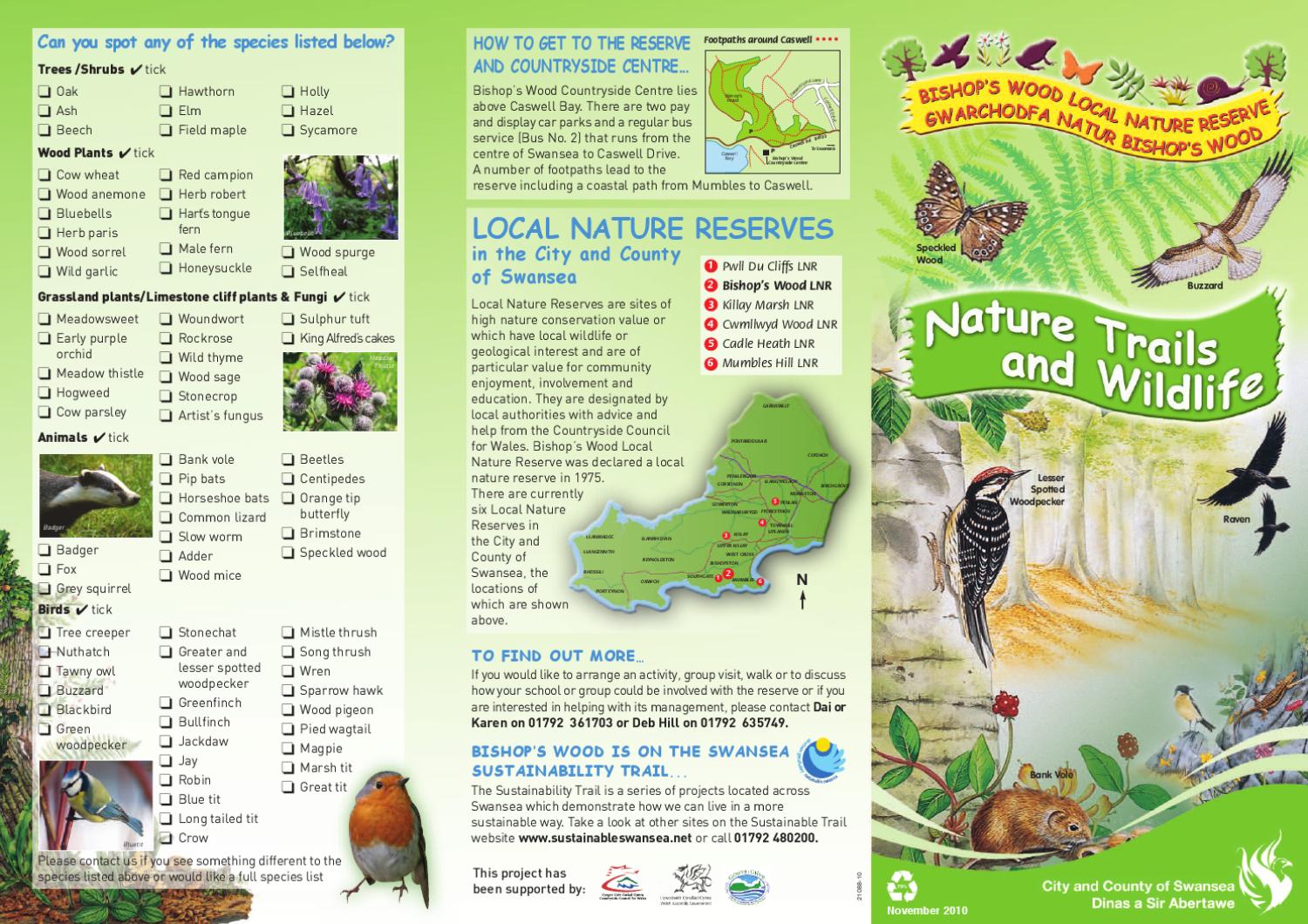 Bishop's Wood Trail by City and County of Swansea - Issuu