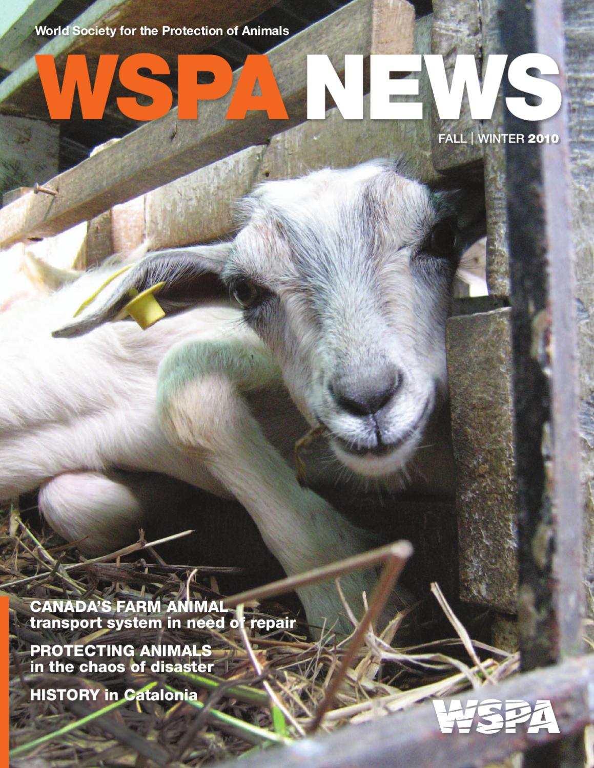 WSPA News Fall 2010 by World Animal Protection Canada - Issuu