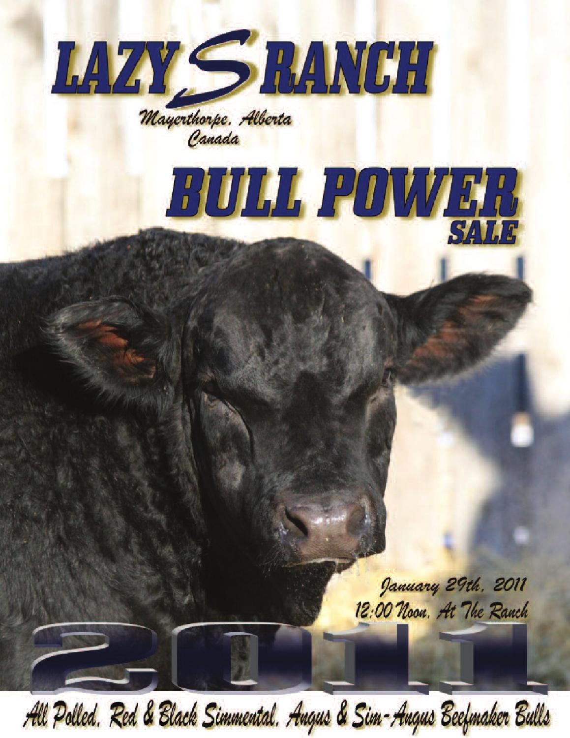 Lazy S Ranch Bull Power Sale by Today's Publishing Inc. - Issuu