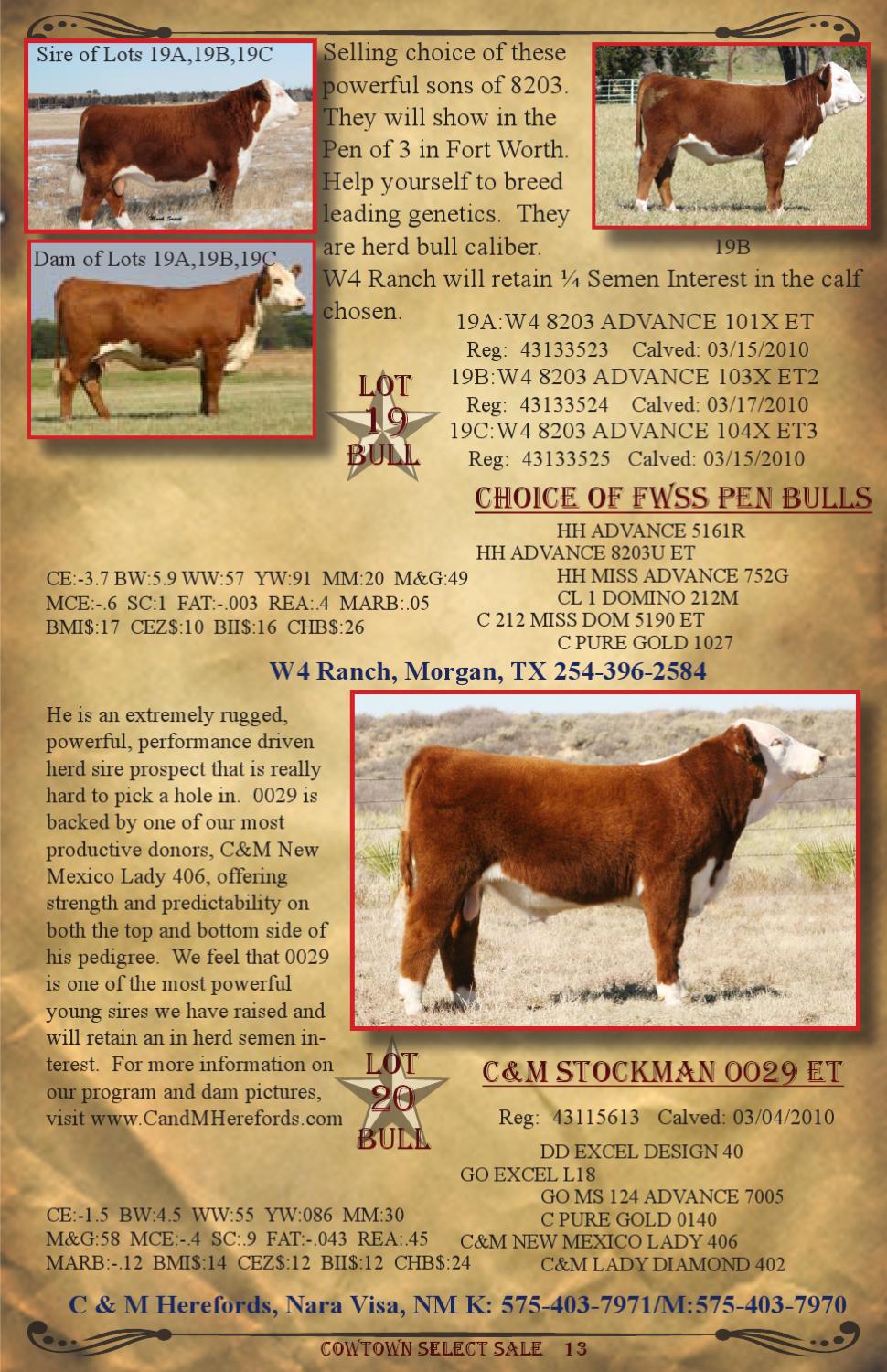 Fort Worth Hereford Sale by Cattle In Motion, LLC - Issuu