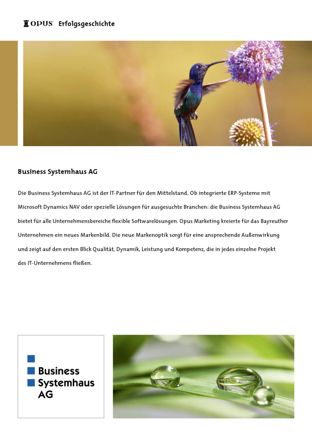 Erfolgsgeschichte - Business Systemhaus AG by Opus Marketing GmbH - Issuu