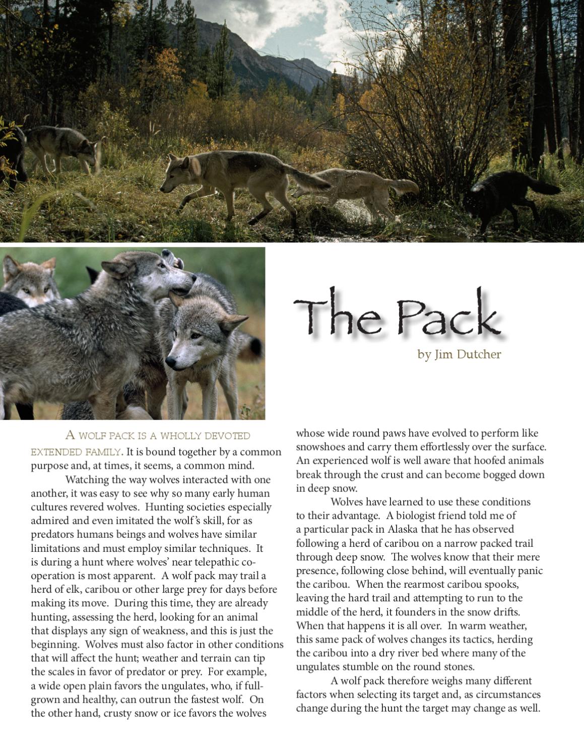 Sawtooth Wolf Pack by Nancy Glick - Issuu