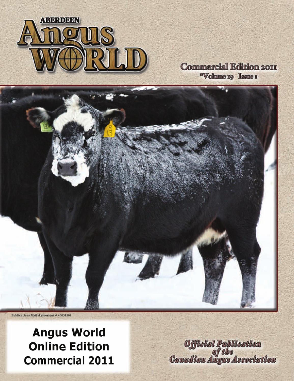Angus World Commercial Edition 2011, Volume 19, Issue 1 by Everything ...