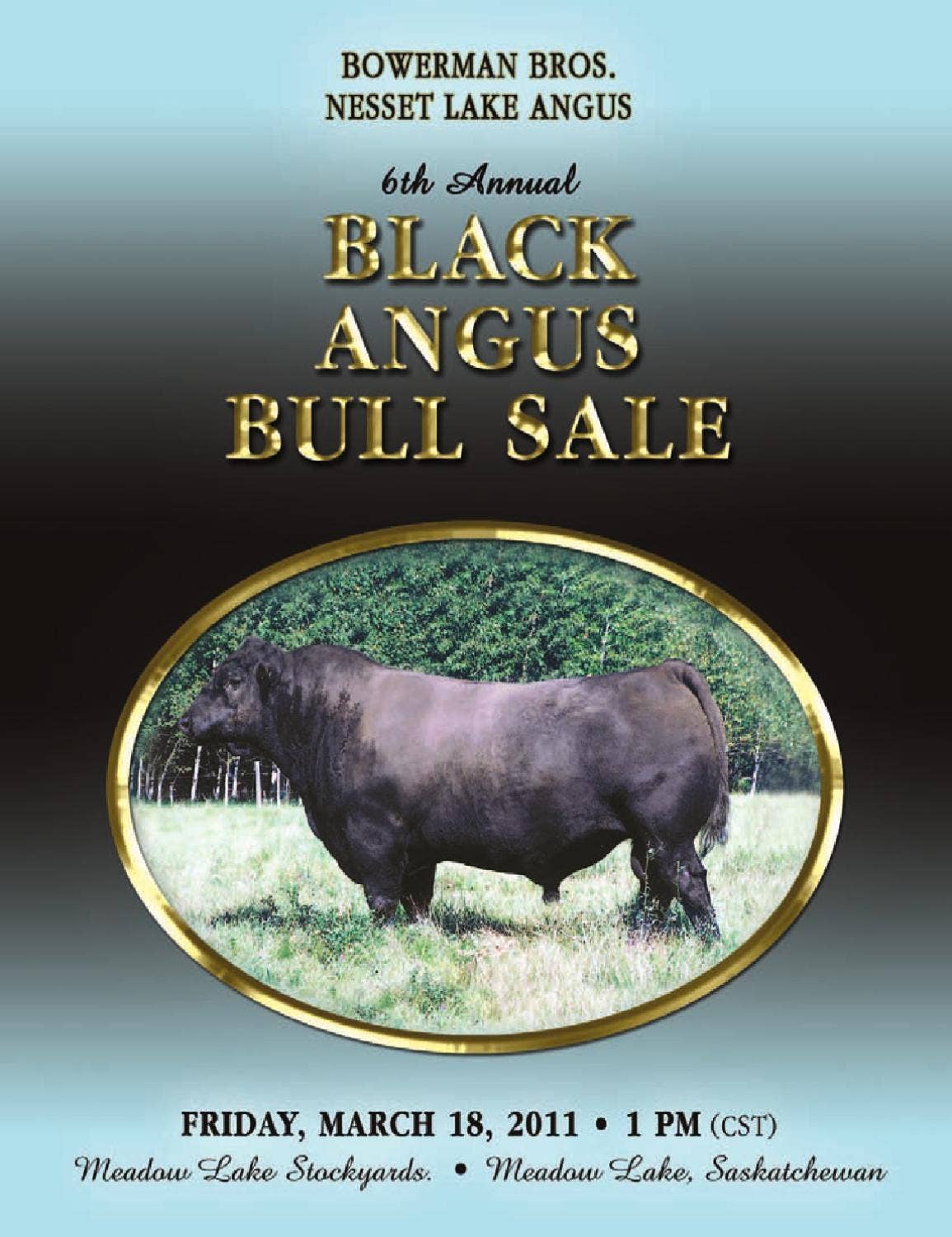 Bowerman Bros. & Nesset Lake Angus 6th Annual Black Angus Bull Sale ...