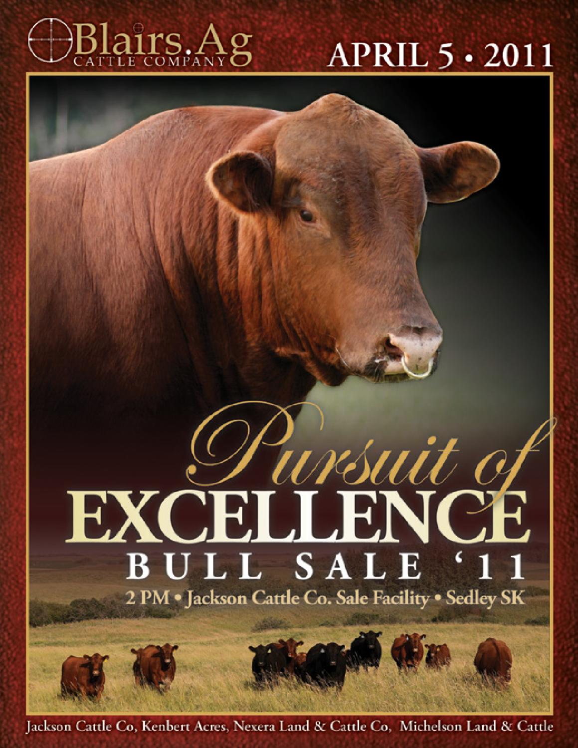 Blairs.ag Cattle Co Pursuit of Excellence Bull Sale by Cattle In Motion ...