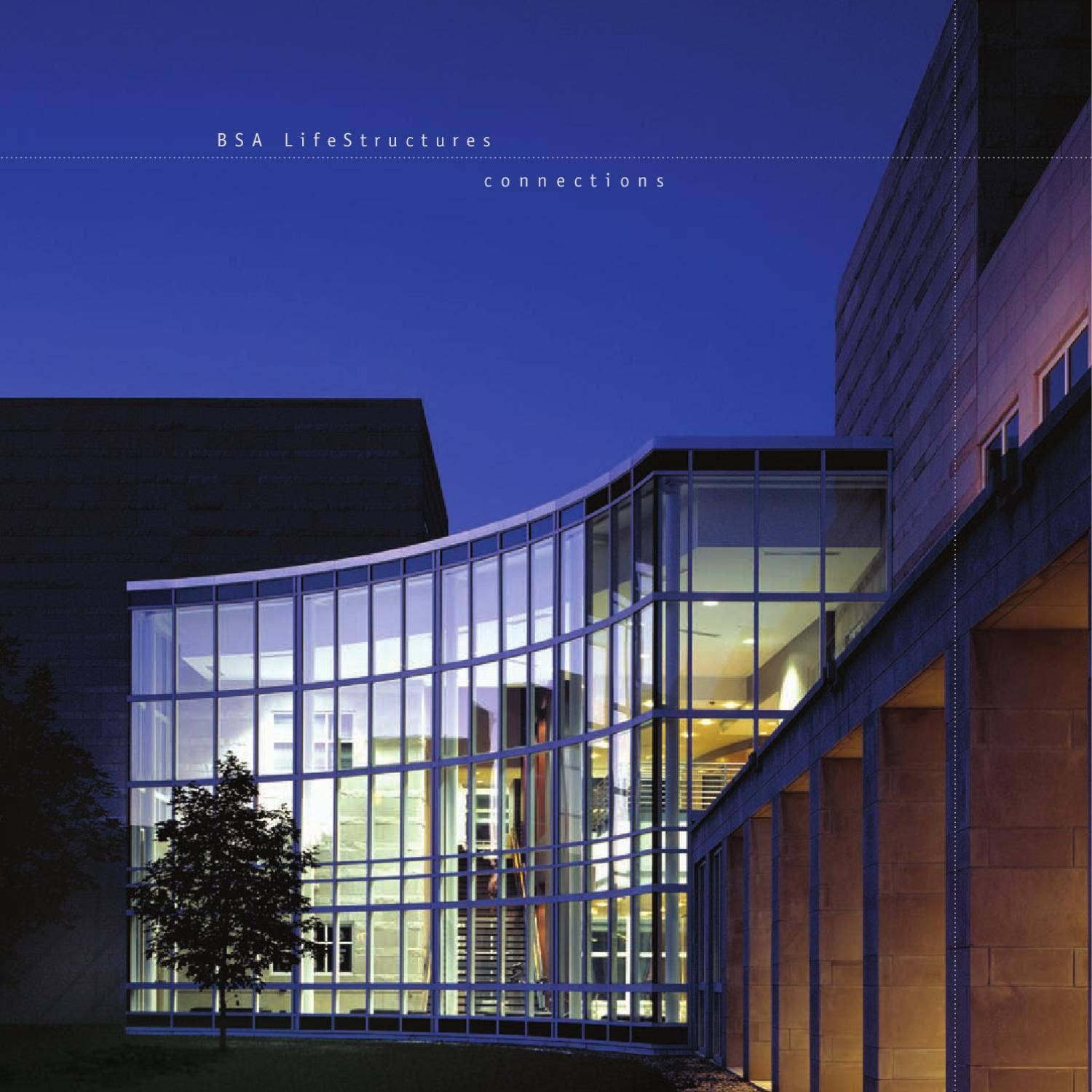BSA LifeStructures Connections by BSA LifeStructures - Issuu