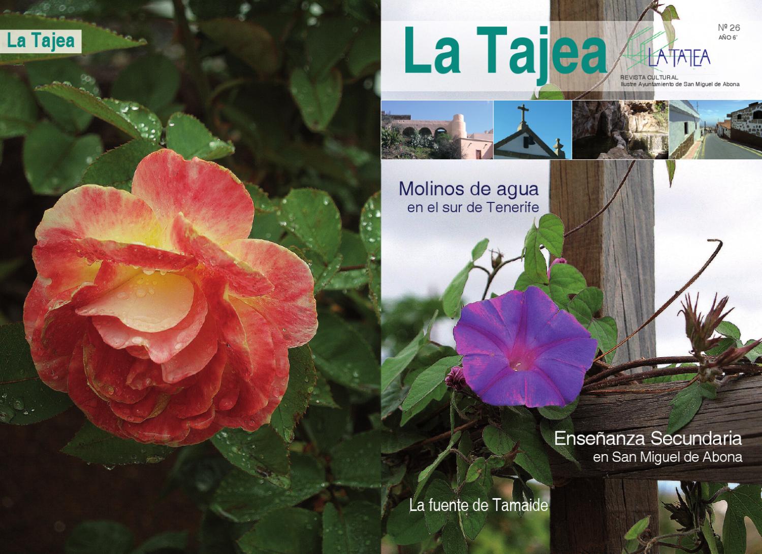 La_Tajea_26 by Ayuntamiento de San Miguel de Abona - Issuu