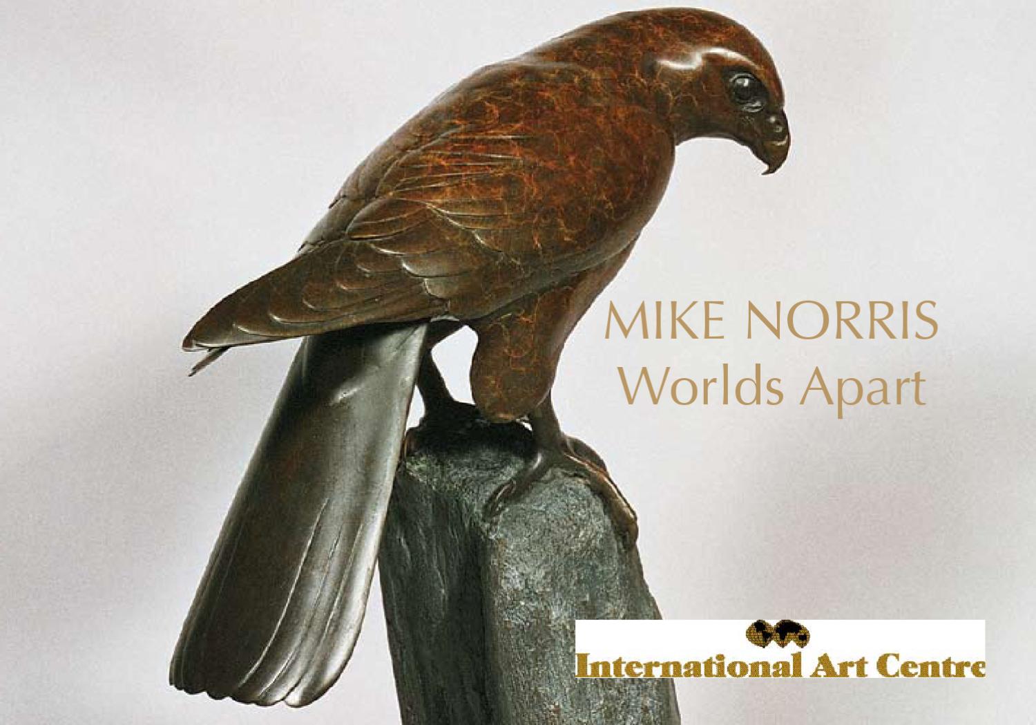 Mike Norris by International Art Centre - Issuu