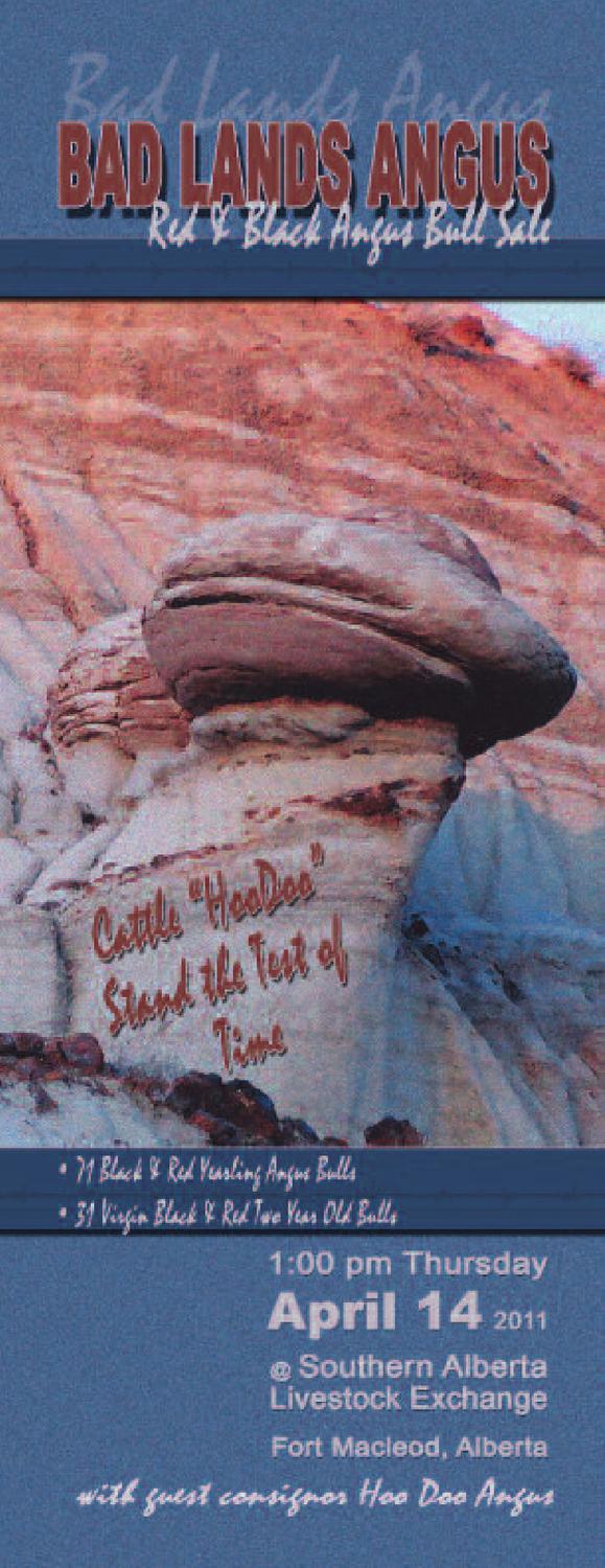 Bad Lands Angus Red & Black Angus Bull Sale 2011 by Everything Angus ...