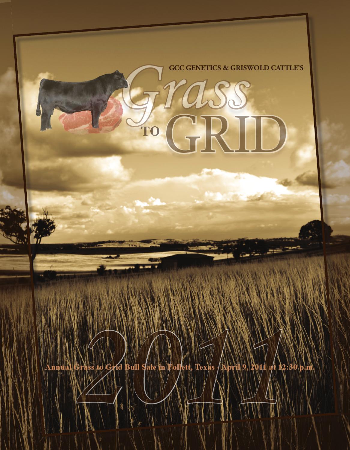 Grass to Grid Bull Sale by Tracy McMurphy - Issuu
